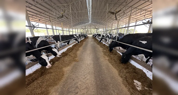 Cresol impulsiona crescimento da produção agro com crédito e apoio ...