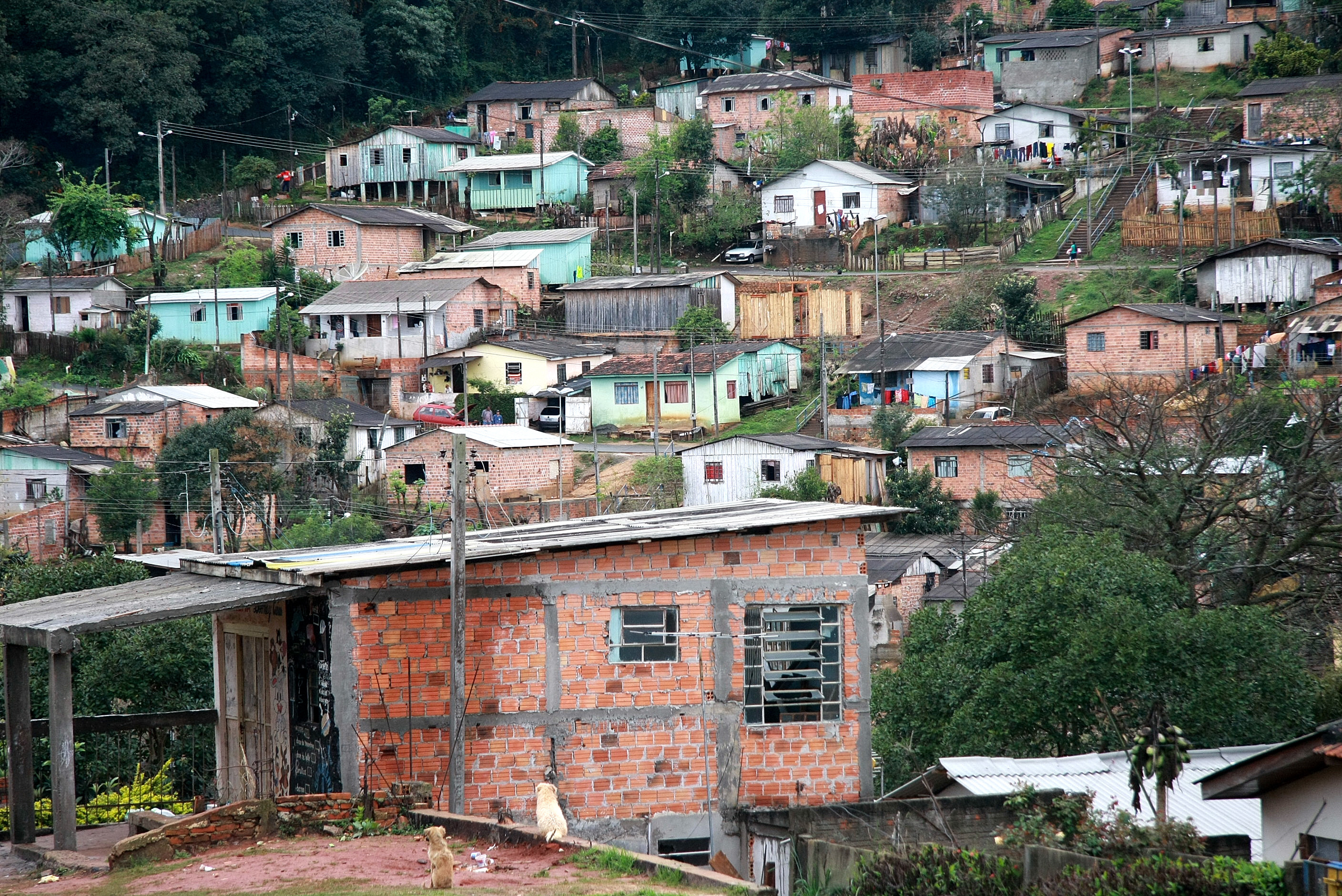 Ponta Grossa lidera em número de favelas no interior do Paraná | aRede