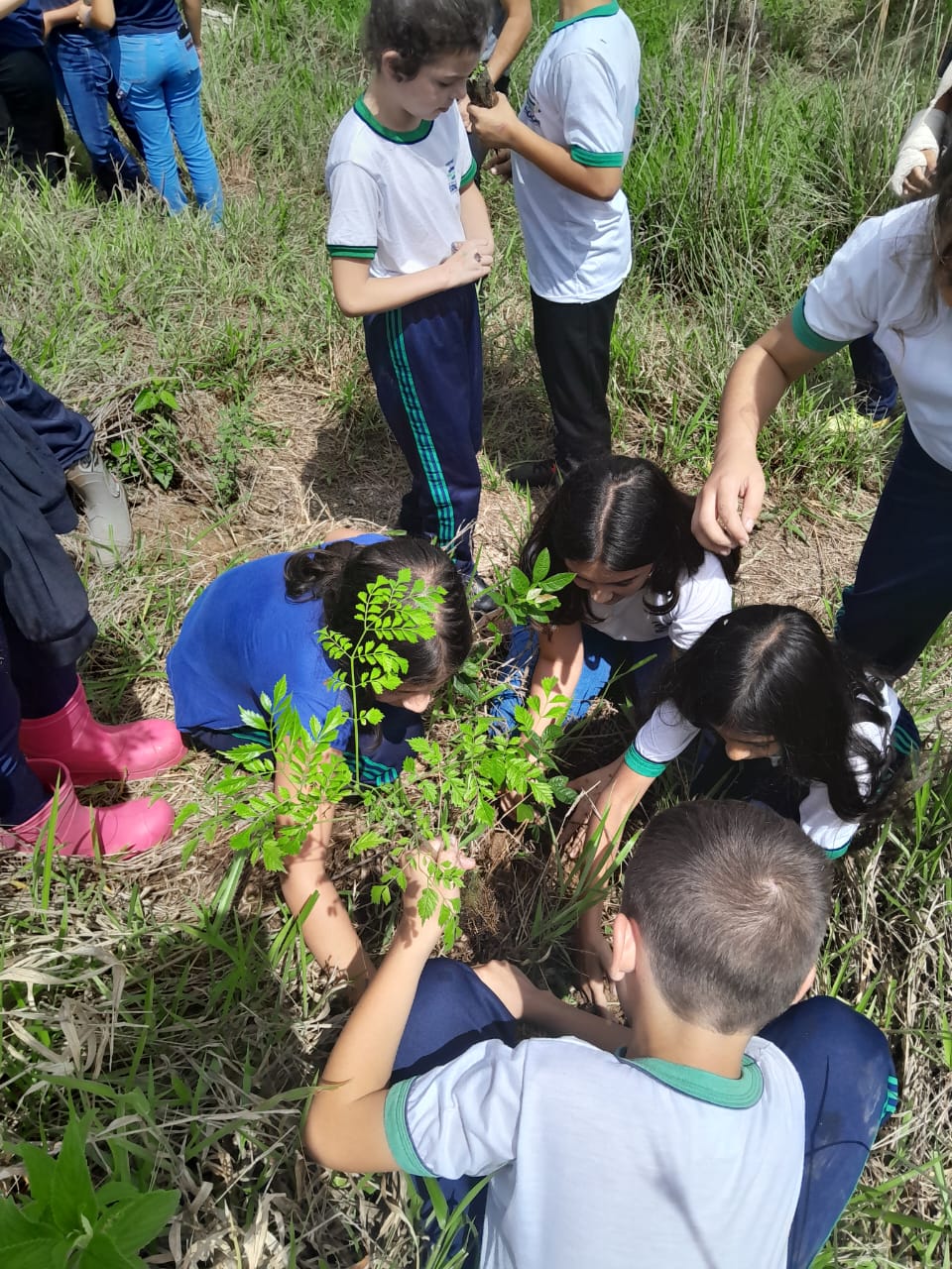 IMM e Vamos Ler destacam as emoções em Reserva | aRede