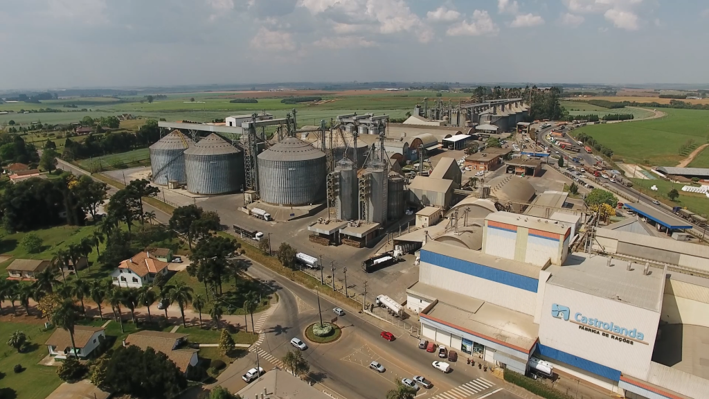 Castrolanda registra resultado recorde de R$ 273 mi em 2024 | aRede